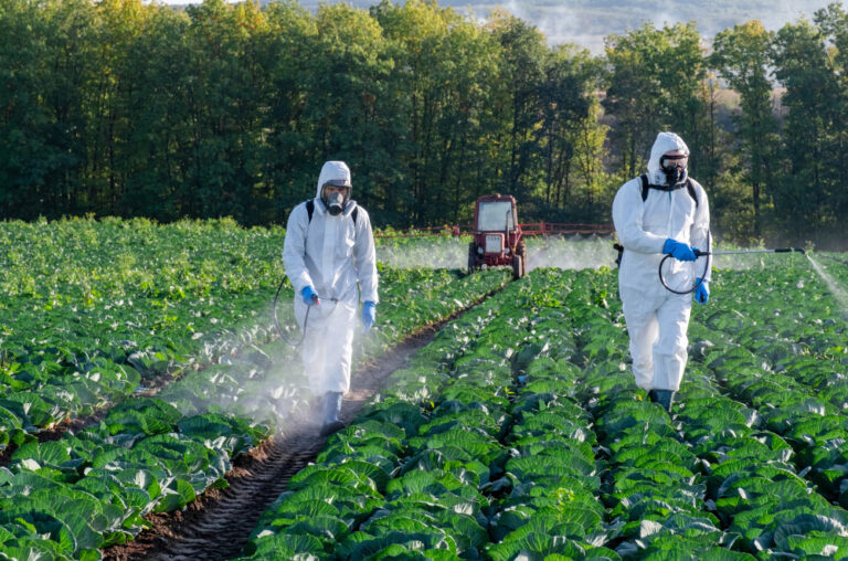 Control biológico de plagas: qué es y por qué es la mejor opción para ...